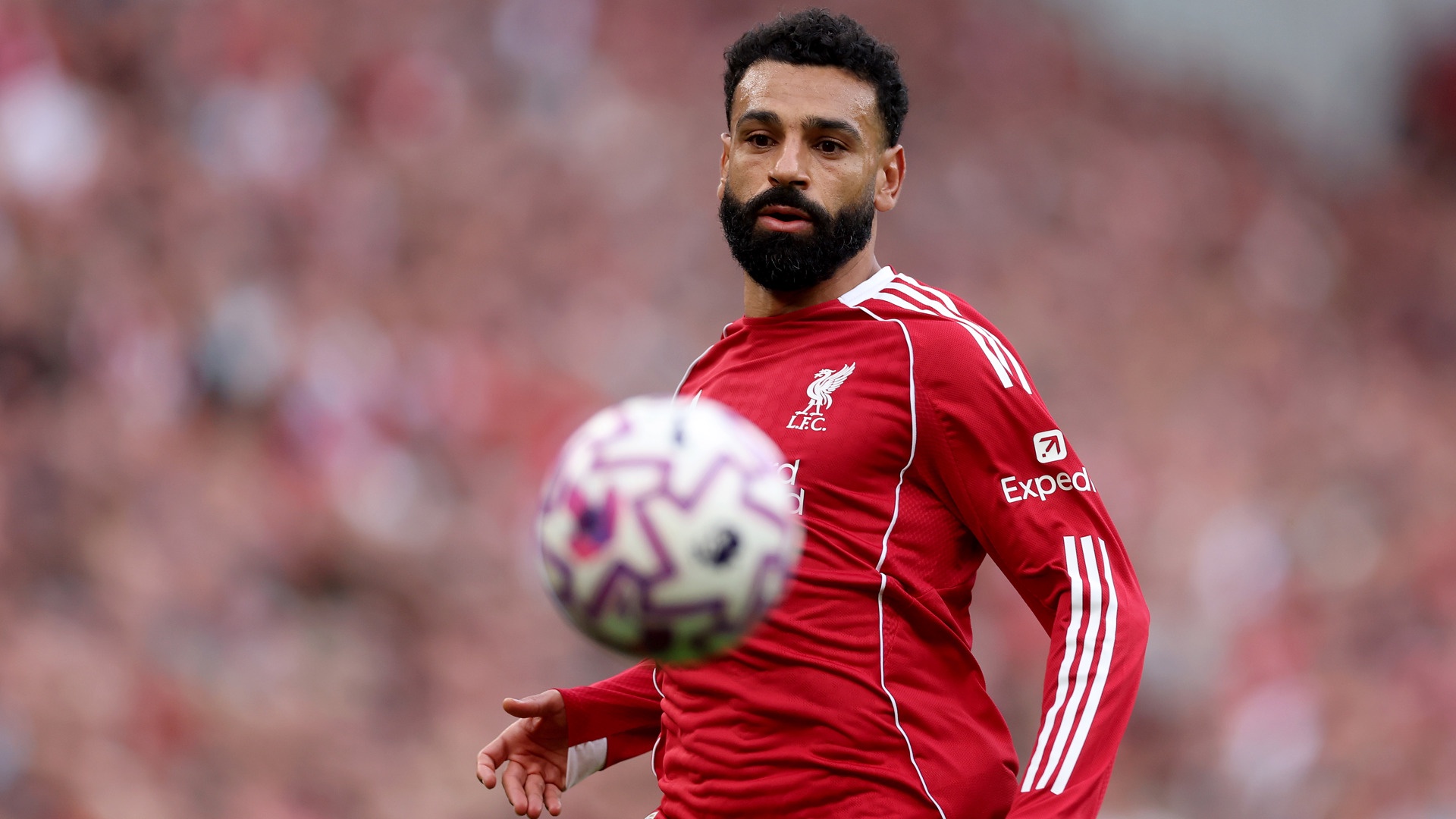 Forventer at Salah er rød ut sesongen – minst | Liverpool FC Supporters ...