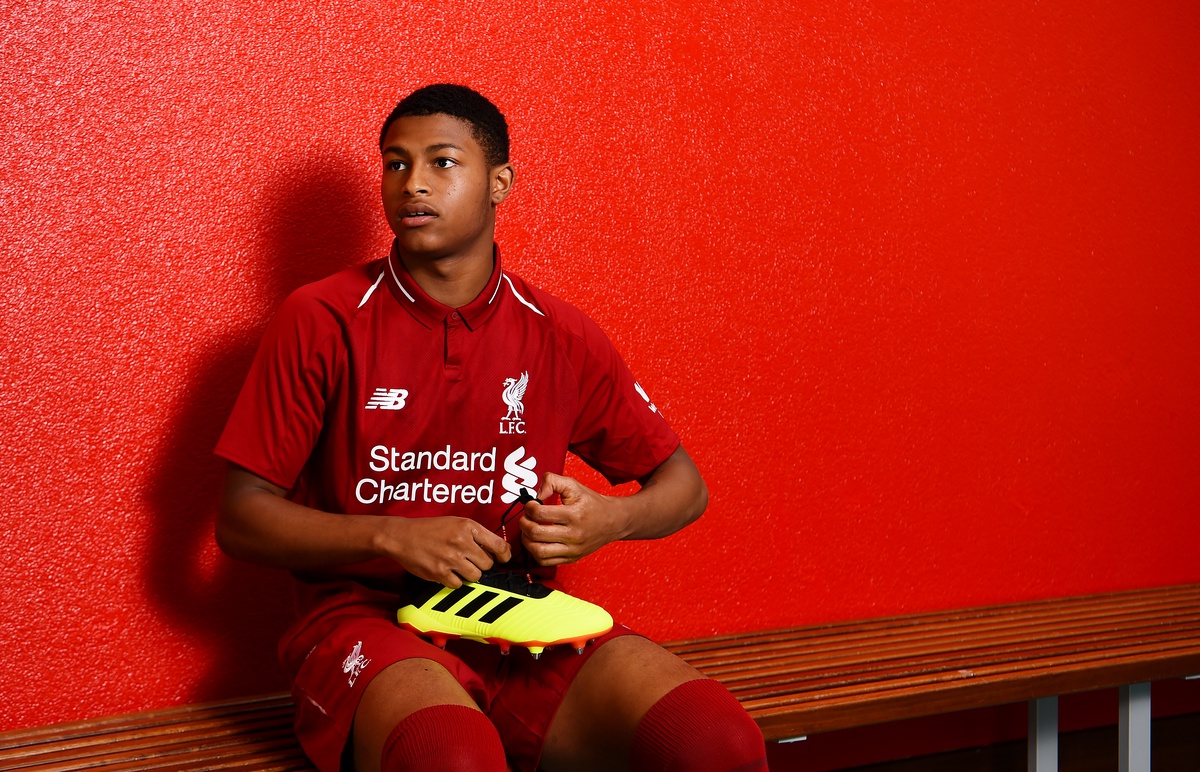 Neppe tilbake før juletider | Arkiv