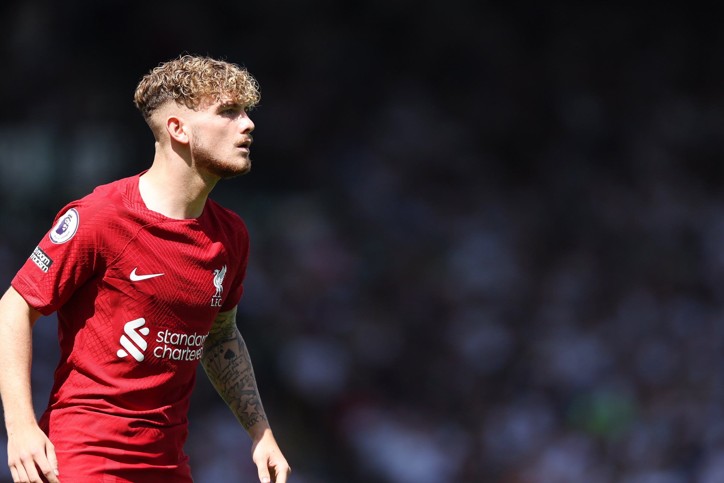 Josh Davidson signerer proffkontrakt | Arkiv