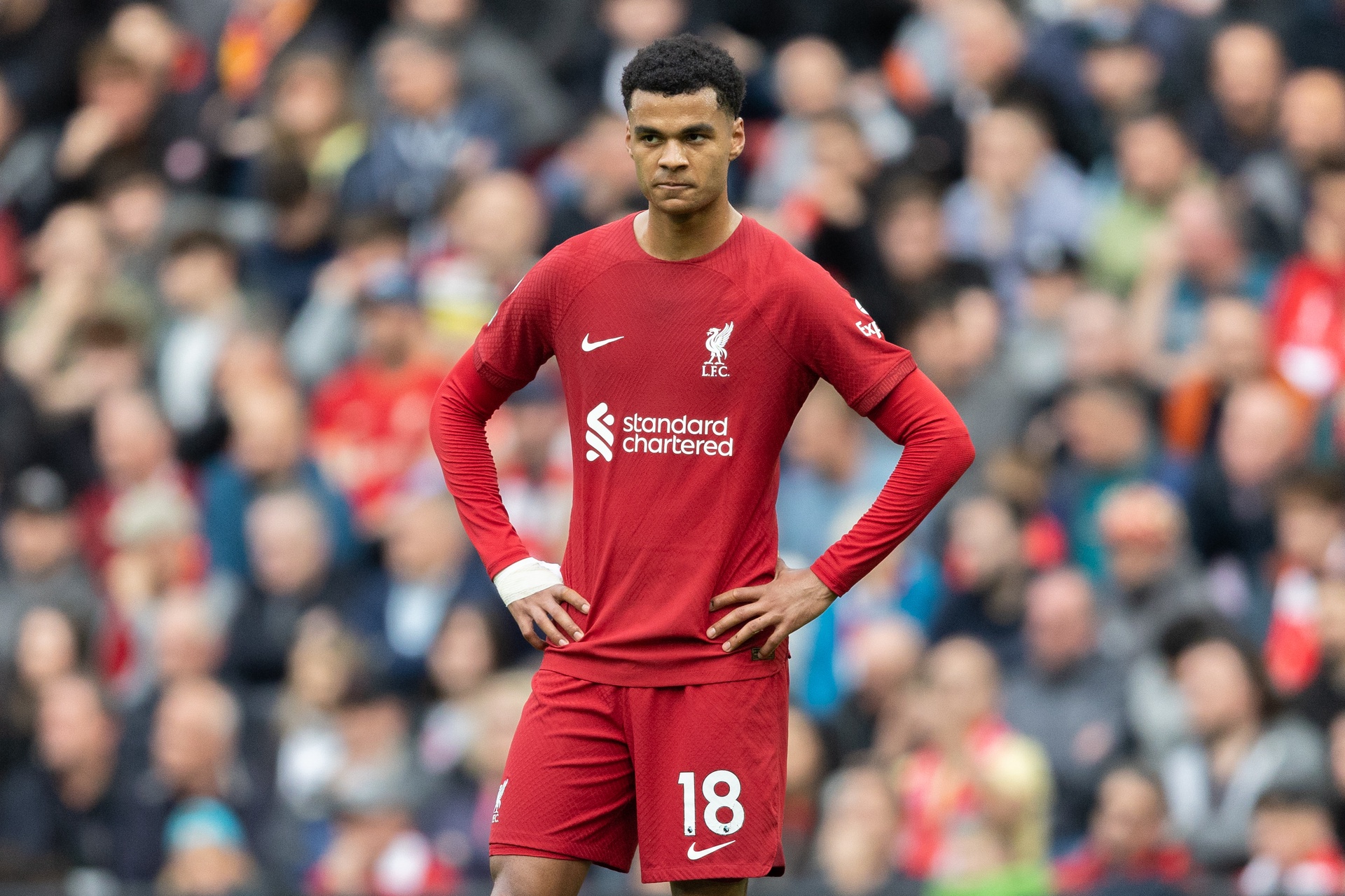 Lynch: Liverpool i ferd med å trekke seg fra kampen om Caicedo | Arkiv